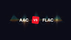 AAC VS FLAC: Which Is The Best? | Audio Curious