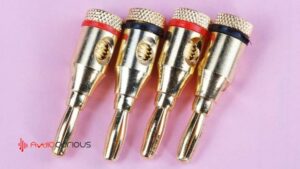 Types Of Audio Connectors: A Detailed List | Audio Curious