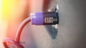 Types Of Audio Connectors: A Detailed List | Audio Curious