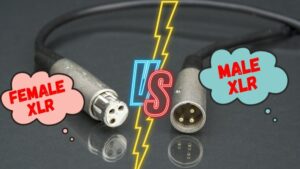 Everything You Should Know About Male And Female XLR Connectors