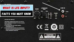 What Is LFE Input? Facts You Must Know | Audio Curious